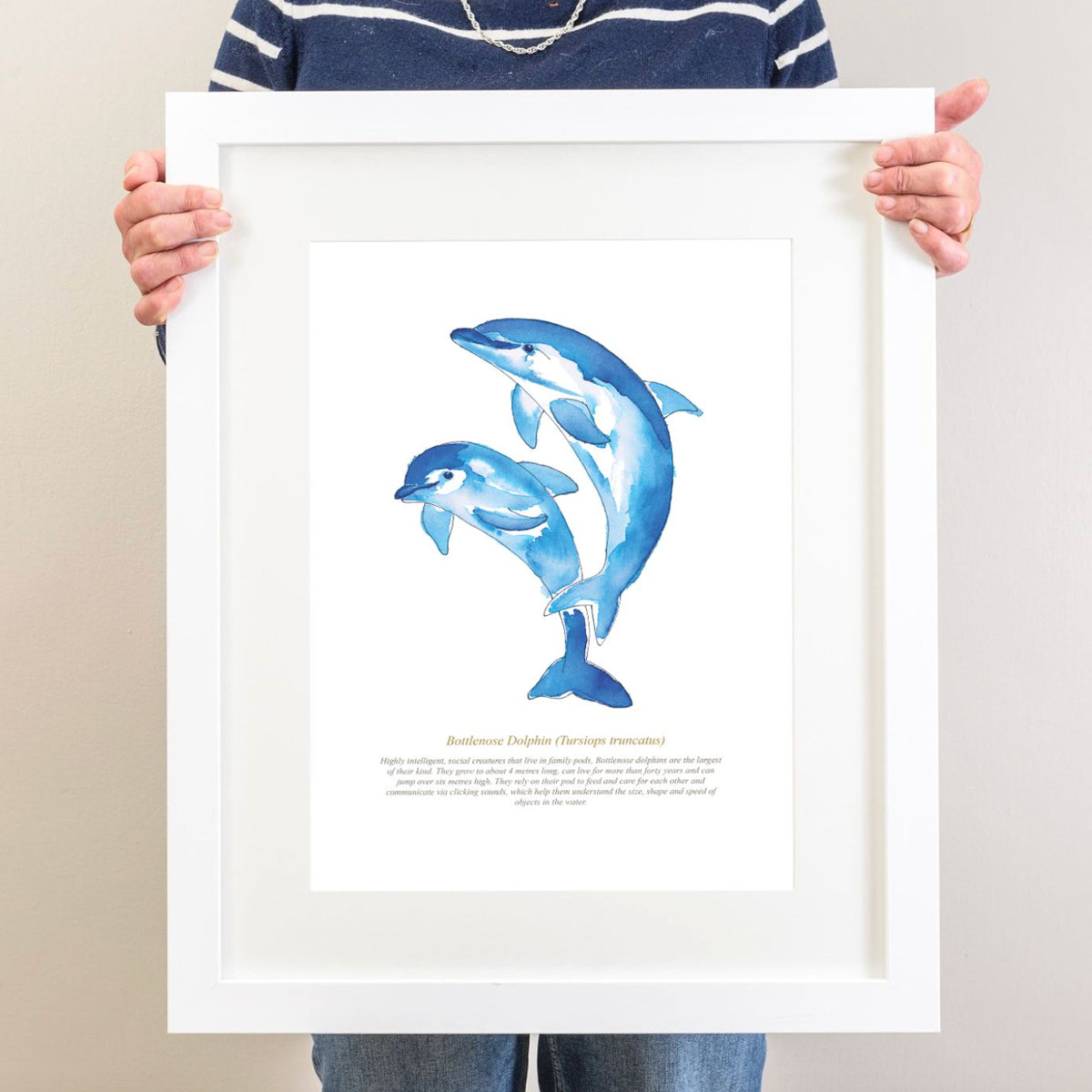 Dolphin Art Print, Coastal Wall Art Poster by SeaKisses